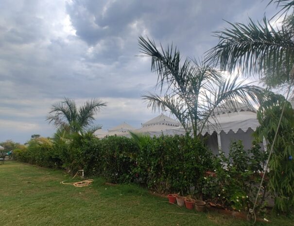 Unity Holiday Resort | Best Resort Near Statue of Unity Kevadia